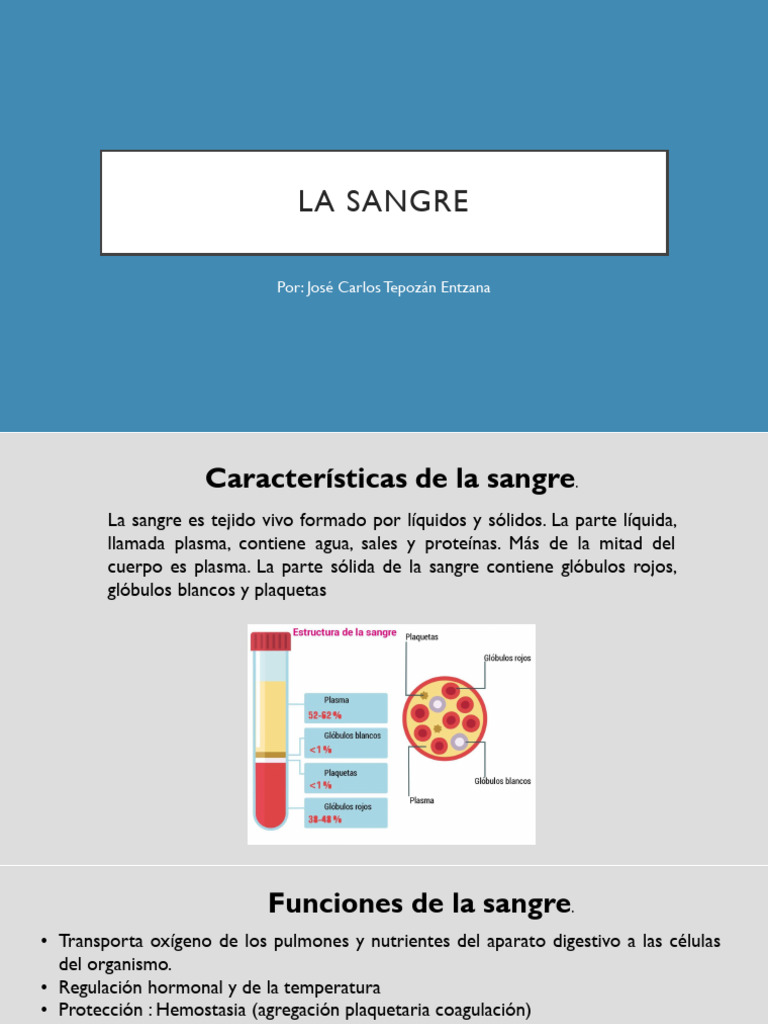 La Sangre | PDF | Sangre | Hematopoyesis