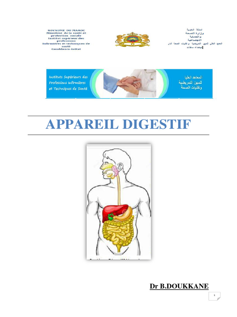 Anatomie de l'appareil digestif humain | PDF | Pancréas | Foie