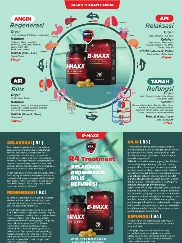B MAXX Brochure | PDF