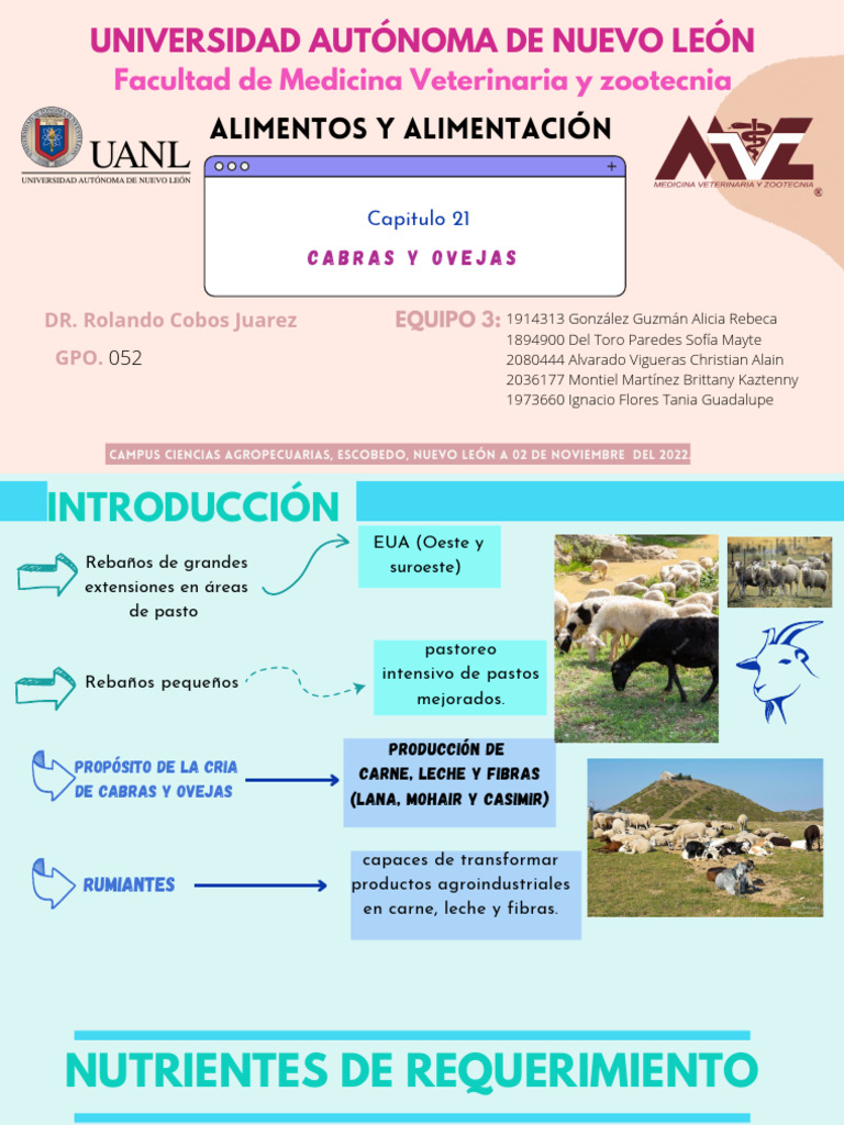 Cabras y Ovejas | PDF | Leche | Oveja