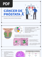 Check Up Básico Q45 en Chopo | PDF
