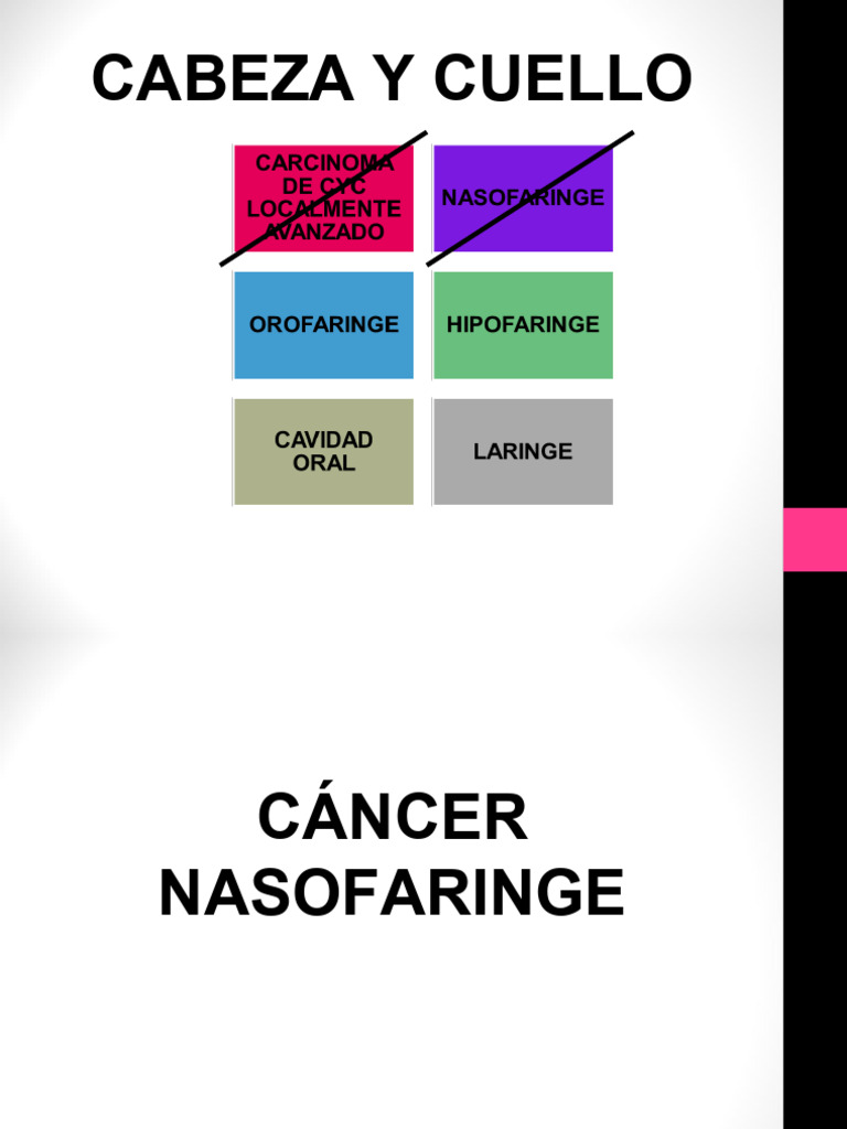 NASOFARINGE | PDF | Anatomía | Anatomía humana