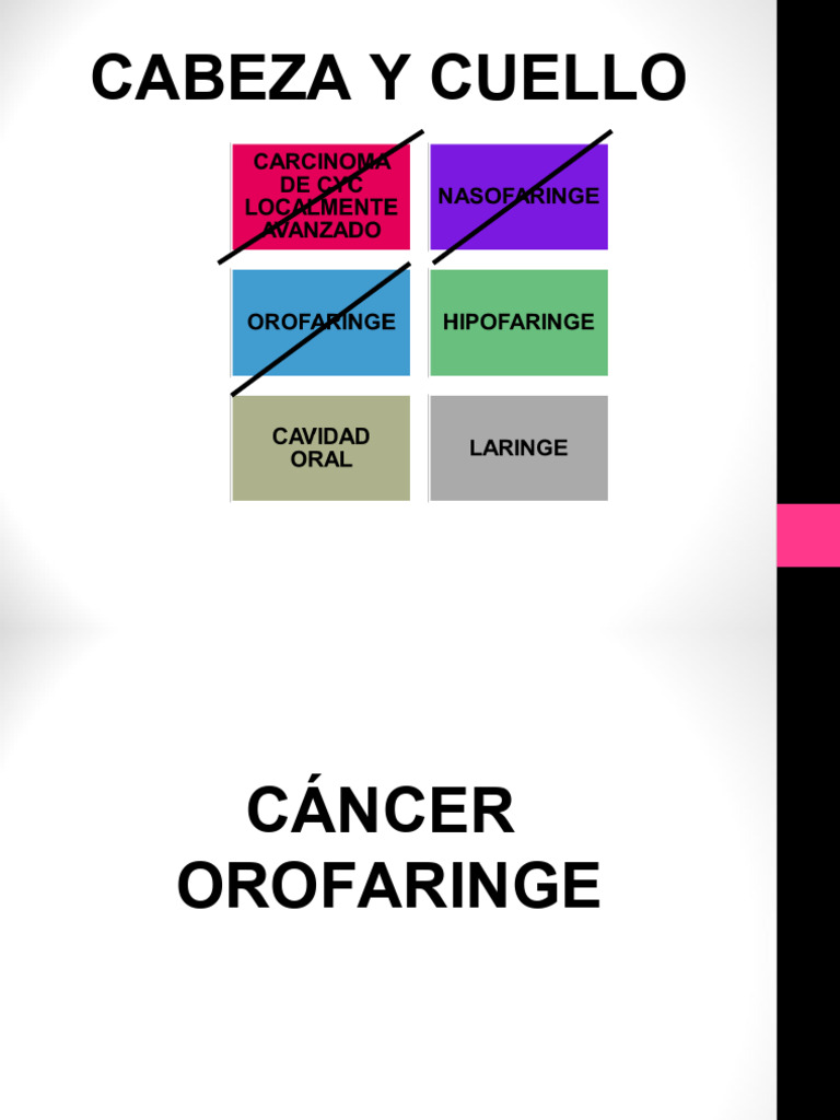 OROFARINGE | PDF | Lengua | Laringe