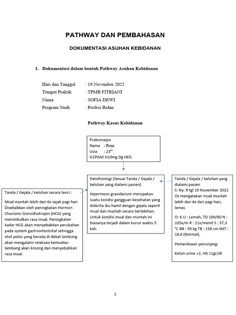 Pathway Dan Pembahasan Kehamilan Sofia | PDF