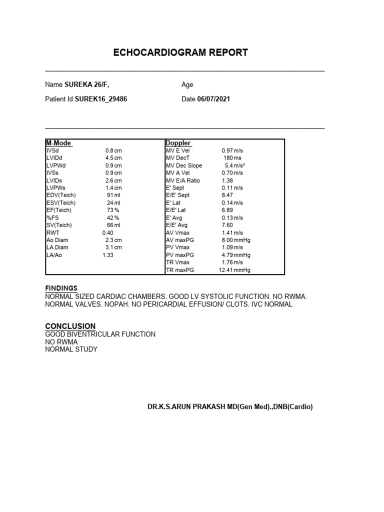 Echocardiogram Report: Normal Findings | PDF