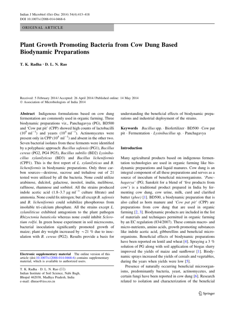 Plant Growth Promoting Bacteria From Cow | PDF | Bacillus | Bacteria