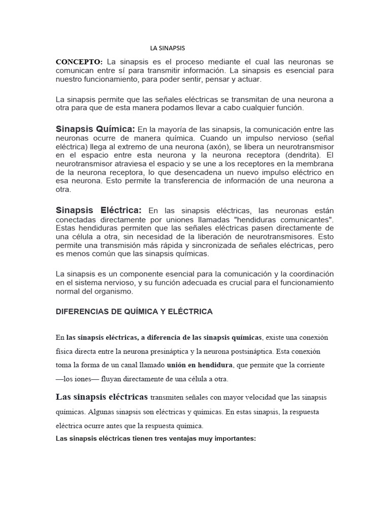 Sinapsis: neurotransmisores y funciones | PDF | Sinapsis | Sinapsis química