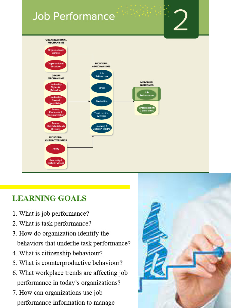 Chapter 2 - Job Performance 2024 | PDF | Workplace | Social Psychology