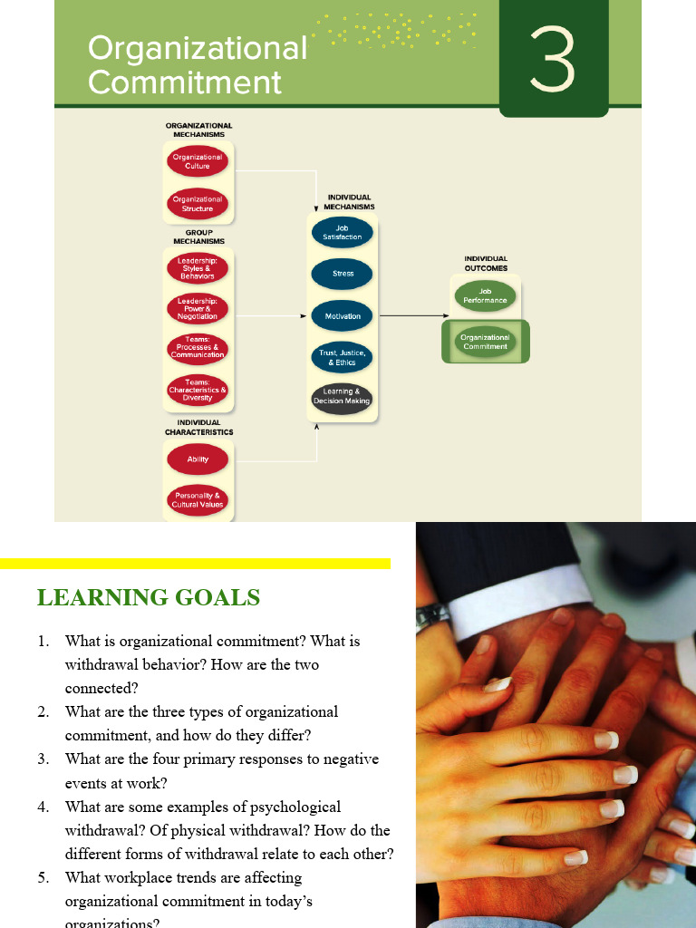 Chapter 3 - Organizational Commitment | PDF | Turnover (Employment) | Layoff