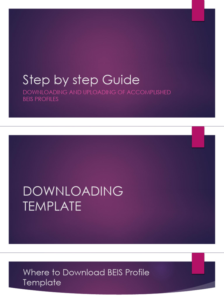 BEIS Profile Upload Guide | PDF