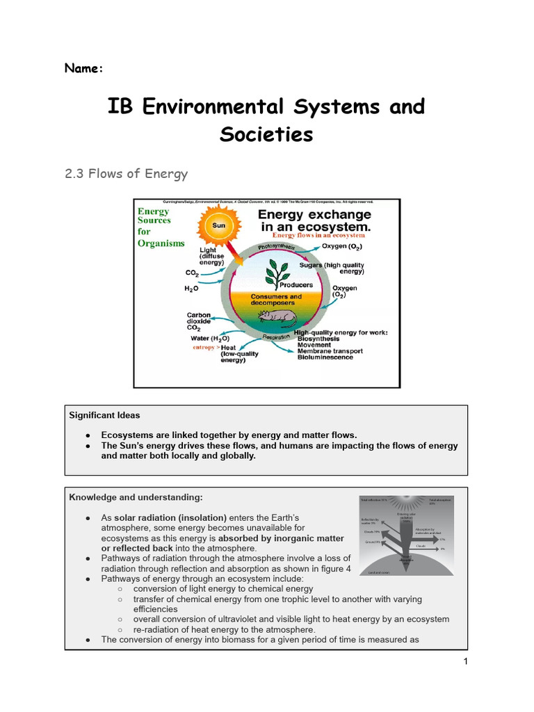 2.3 Flows of Energy Answers | PDF | Primary Production | Ecosystem