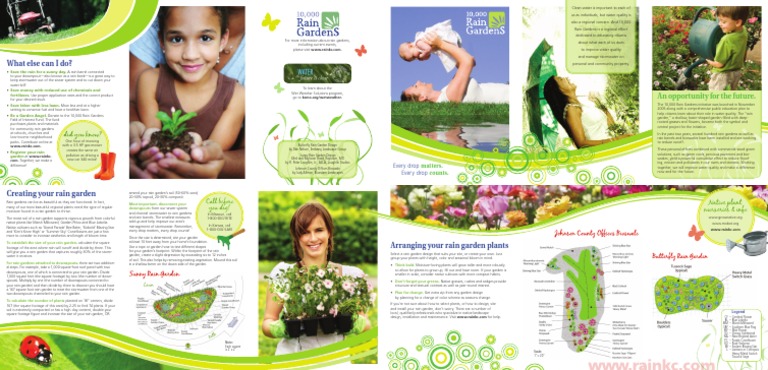 Minnesota: 10,000 Rain Gardens Brochure | PDF | Stormwater | Gardens
