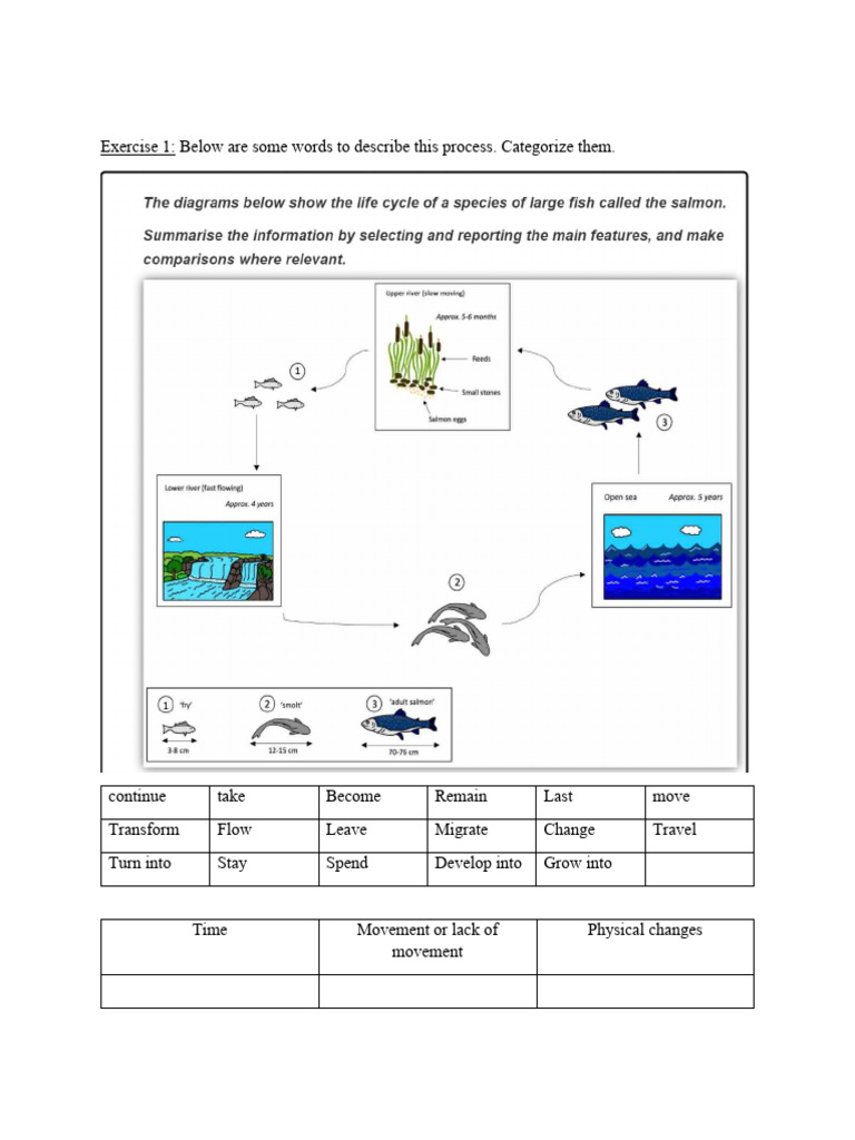 NATURAL CYCLE Process | PDF | Spawn (Biology) | Salmon