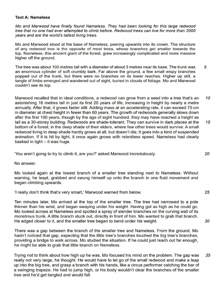 Comprehension Text A Assignment - Nameless | PDF