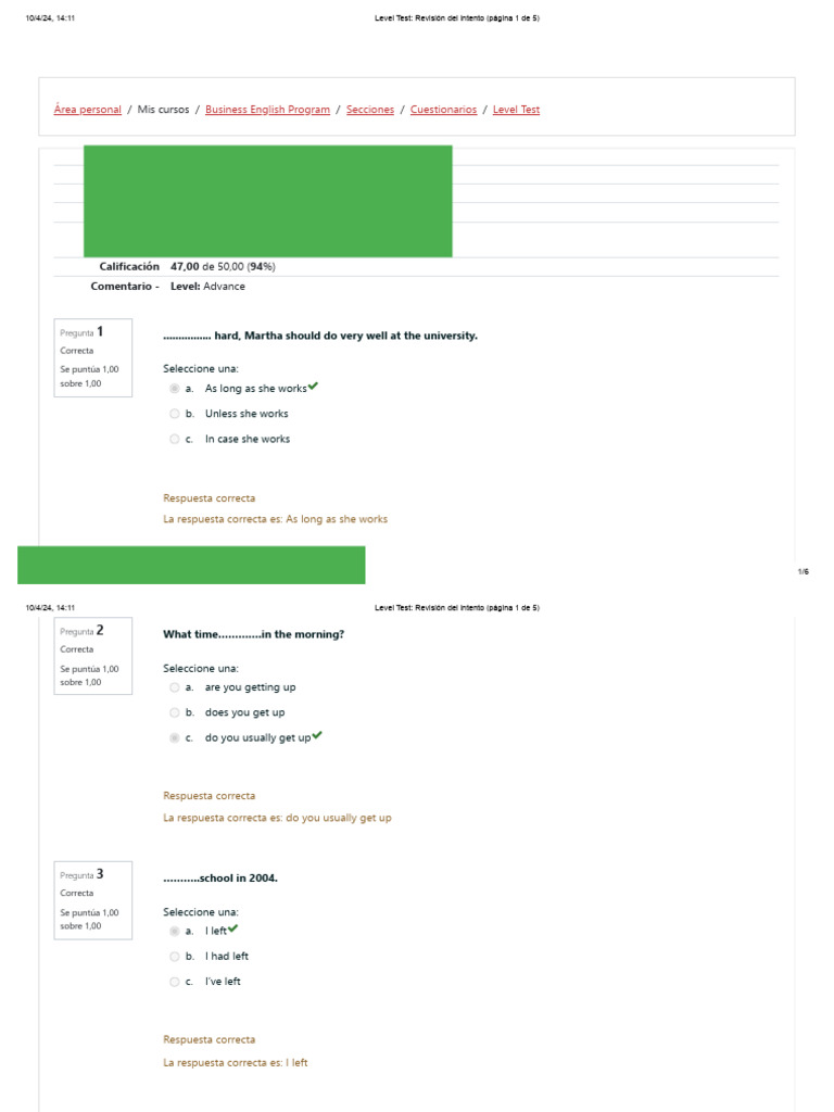 Eneb - Level Test - English for Business | PDF