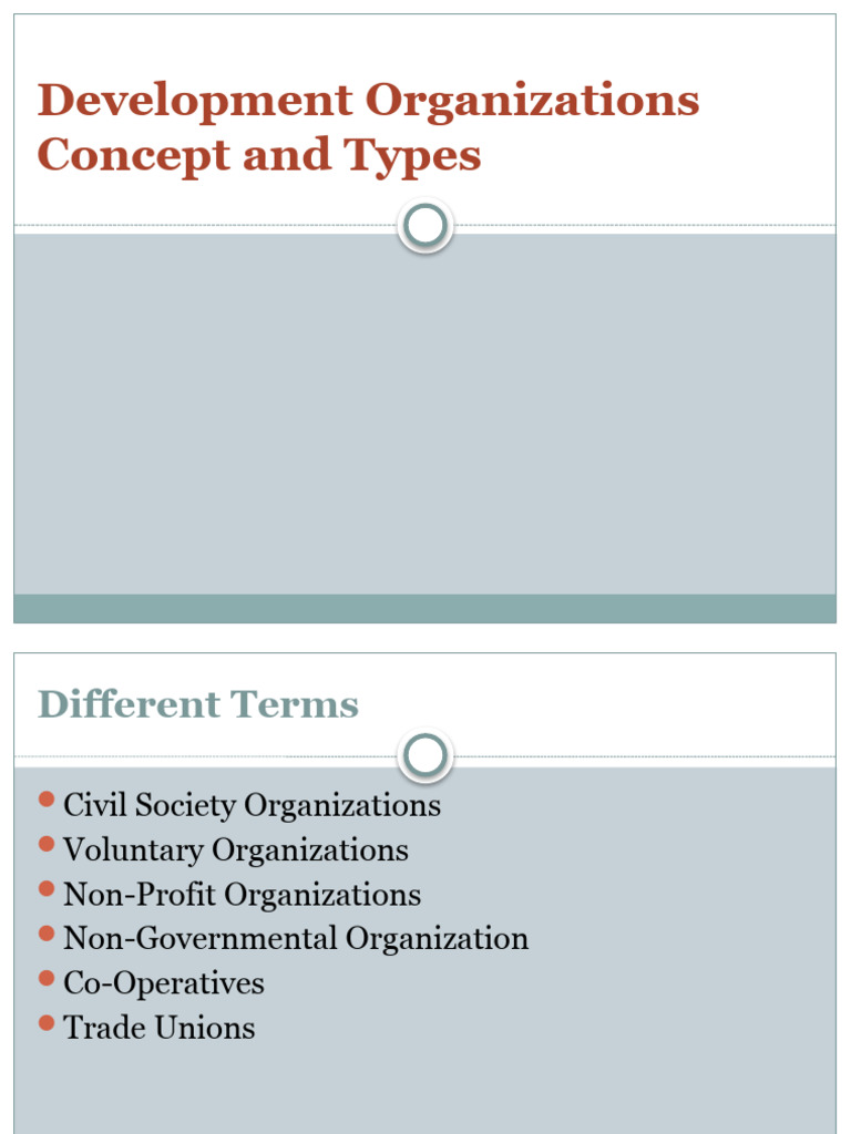 Types and Roles of Development Organizations | PDF | Non Governmental ...