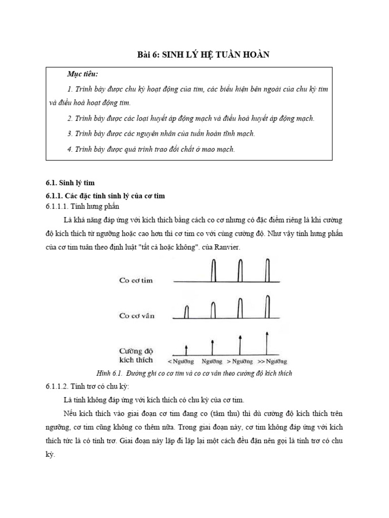 Sinh Ly Tuan Hoan | PDF