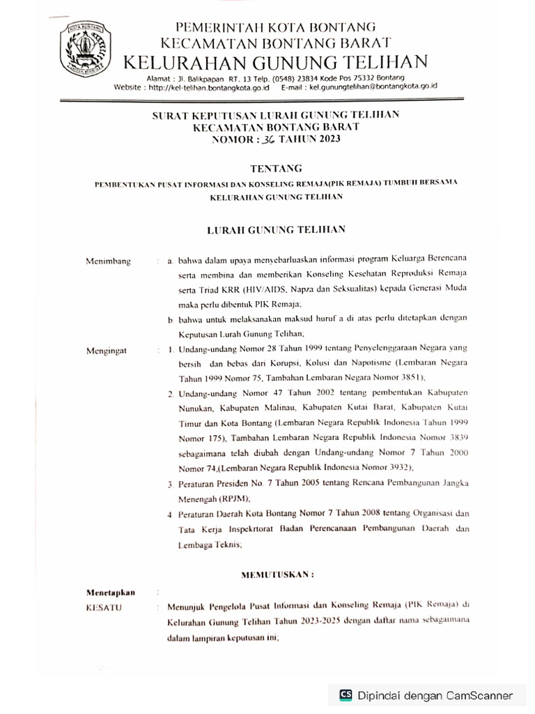 SK Pik-Remaja Tumbuh Bersama | PDF