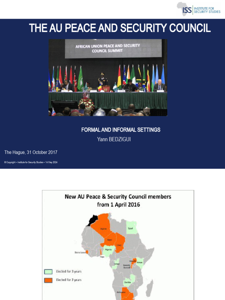 Presentation Minbuza Hague | PDF | African Union | Political Science