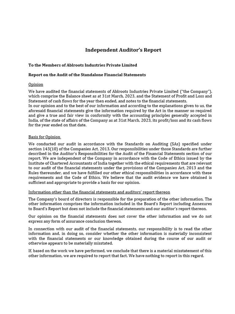 Audit Report | Download Free PDF | Audit | Going Concern