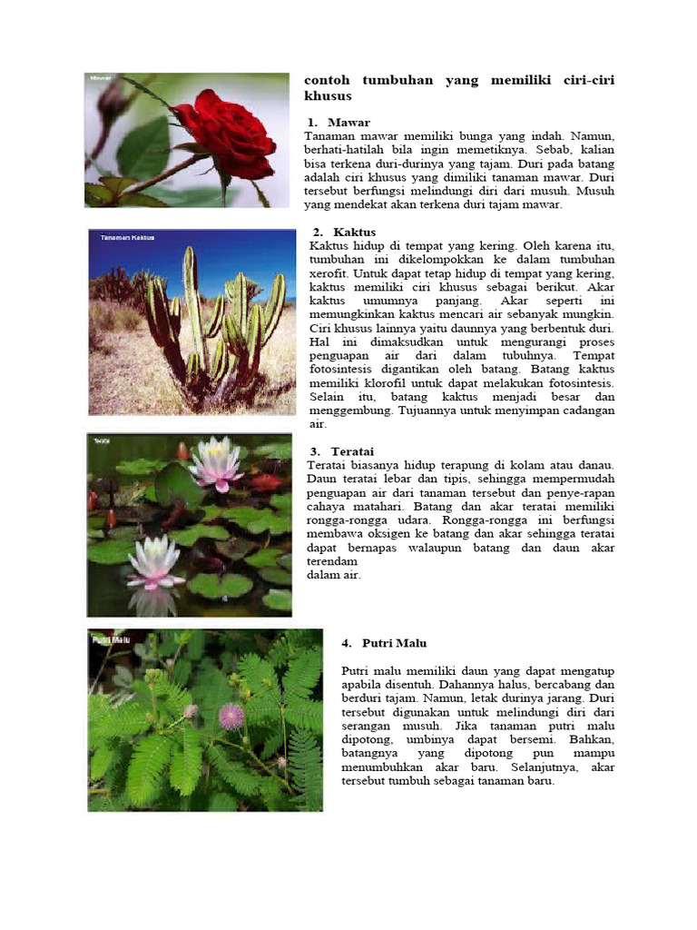 Ciri Khusus Tumbuhan Dan Hewan | PDF