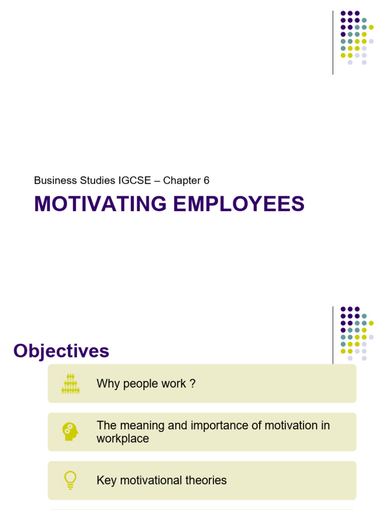 Employee Motivation Strategies Explained | PDF | Motivation | Motivational
