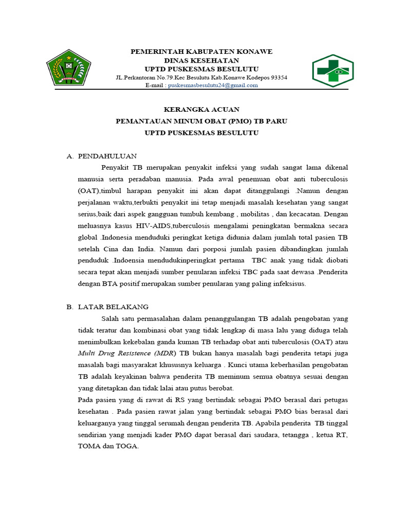 Kak Pengawasan Minum Obat TB 2024 | PDF