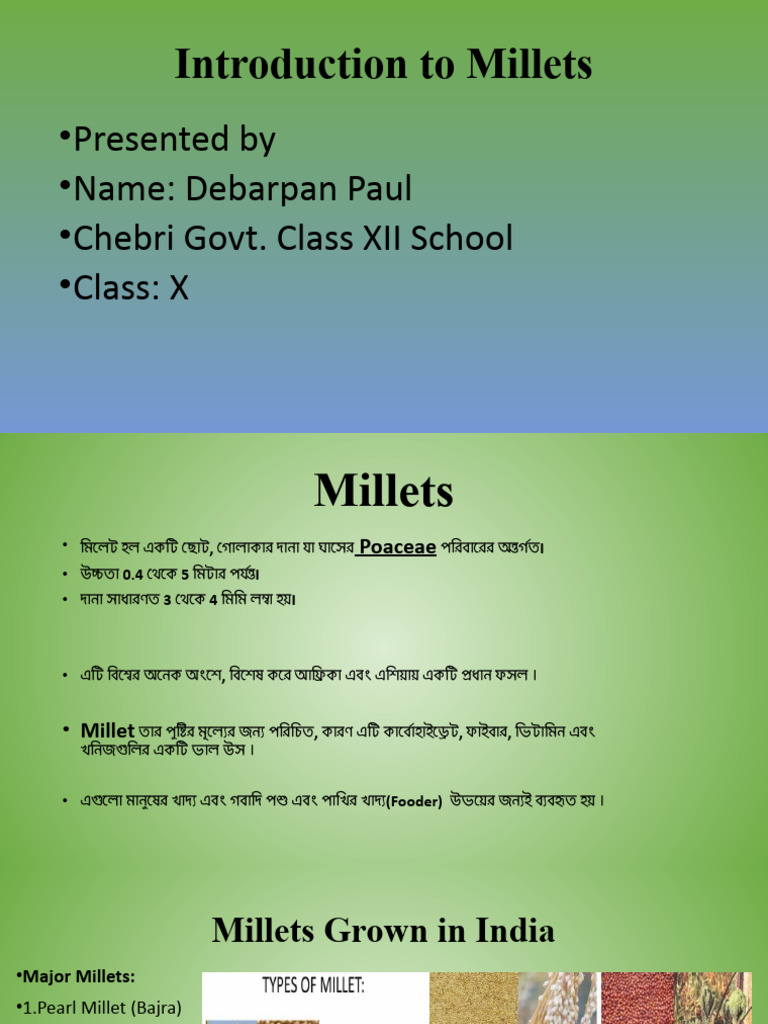 Millets | PDF