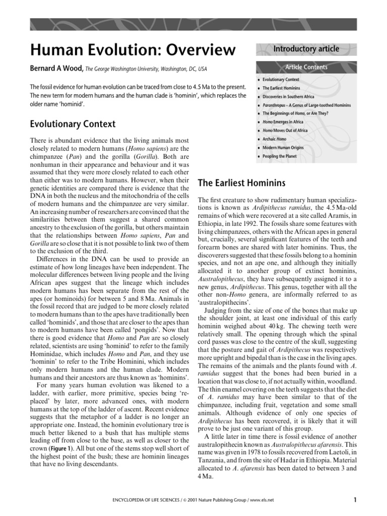 HumanEvolution READ 2 | PDF | Hominidae | Homo