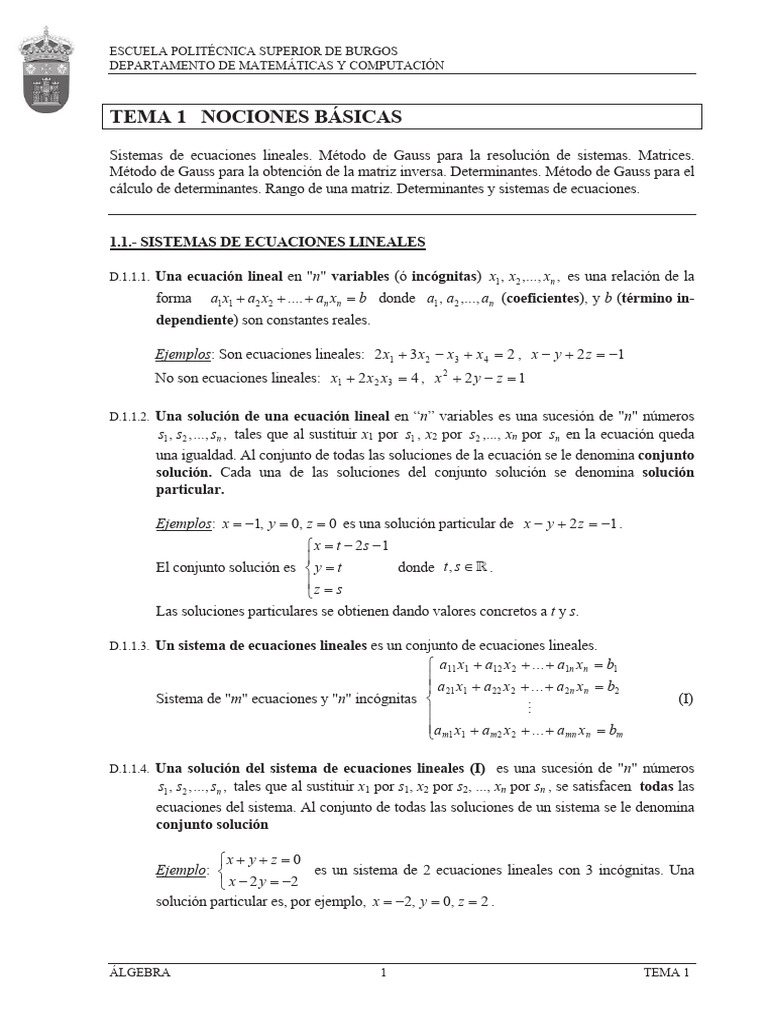 TEMA 1_Nociones_Básicas | PDF | Matriz (Matemáticas) | Determinante
