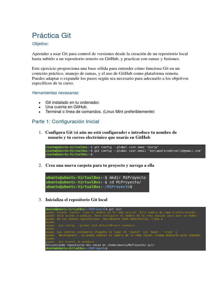 Patino Borja Práctica Git | PDF | Archivo de computadora | Control de versiones