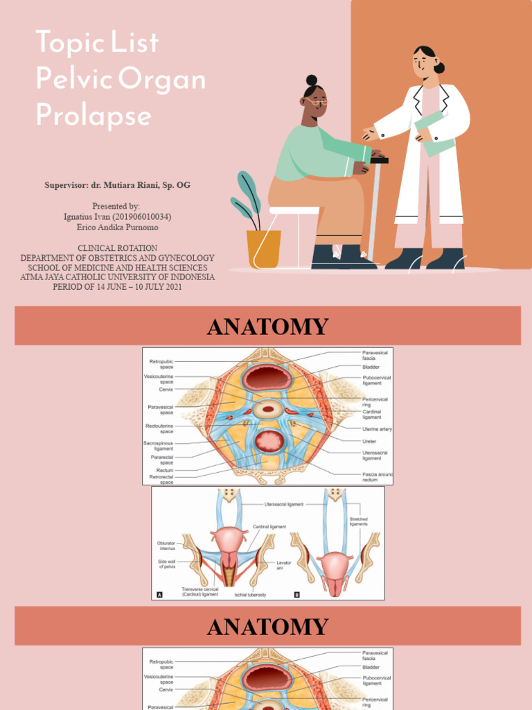 TL Pelvic Organ Prolapse | PDF | Sexual Anatomy | Clinical Medicine