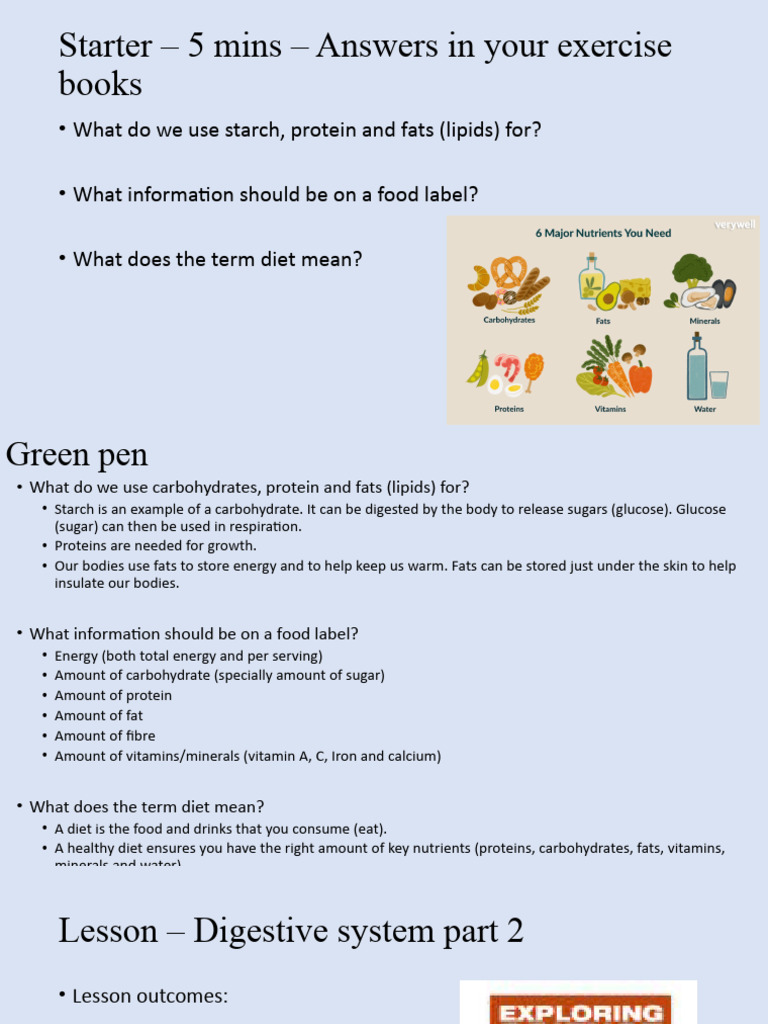 07 Digestive System Part 2 | PDF | Stomach | Large Intestine