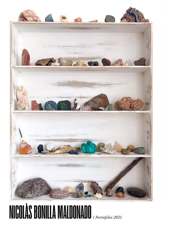 Nicolas Bonilla Maldonado - Portafolio - Artista | PDF | Bogotá