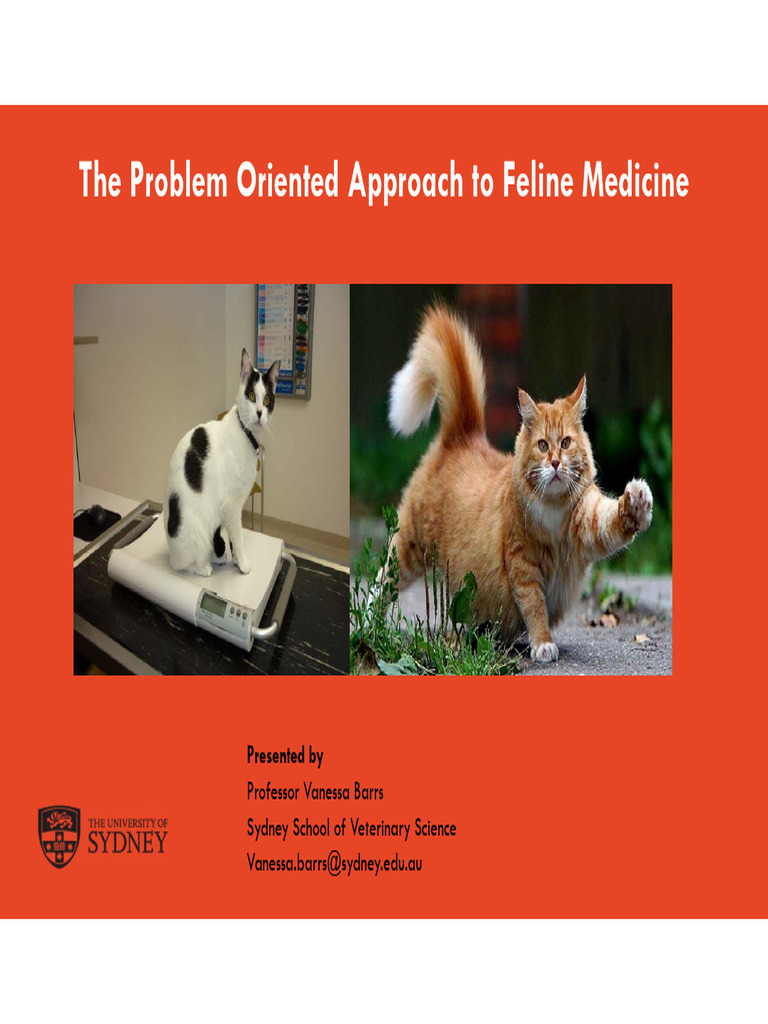 Problem Oriented Approach Bali 2018 | PDF | Physical Examination | Hypertension