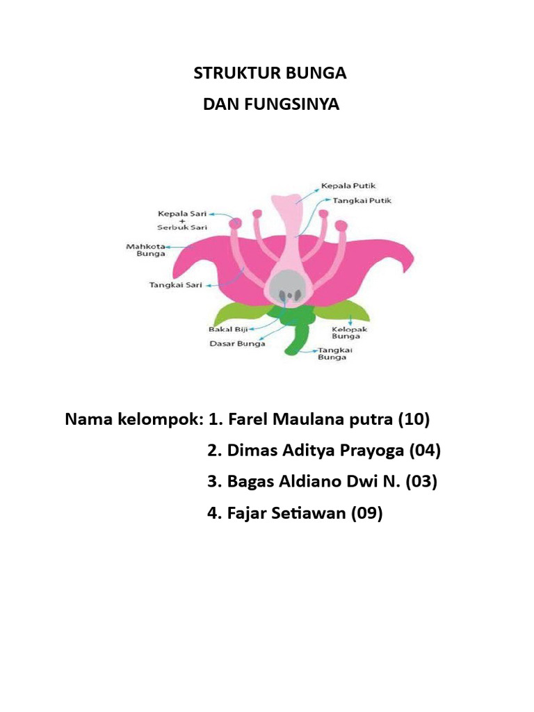 Bagian Bunga Serta Fungsinya 9a Farel Maulana Putra-1 | PDF