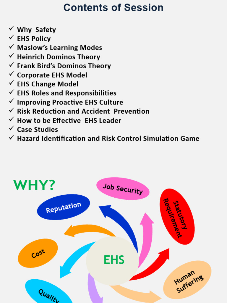 EHS_Leadership_programme and Risk Simulation 2 | PDF | Risk ...