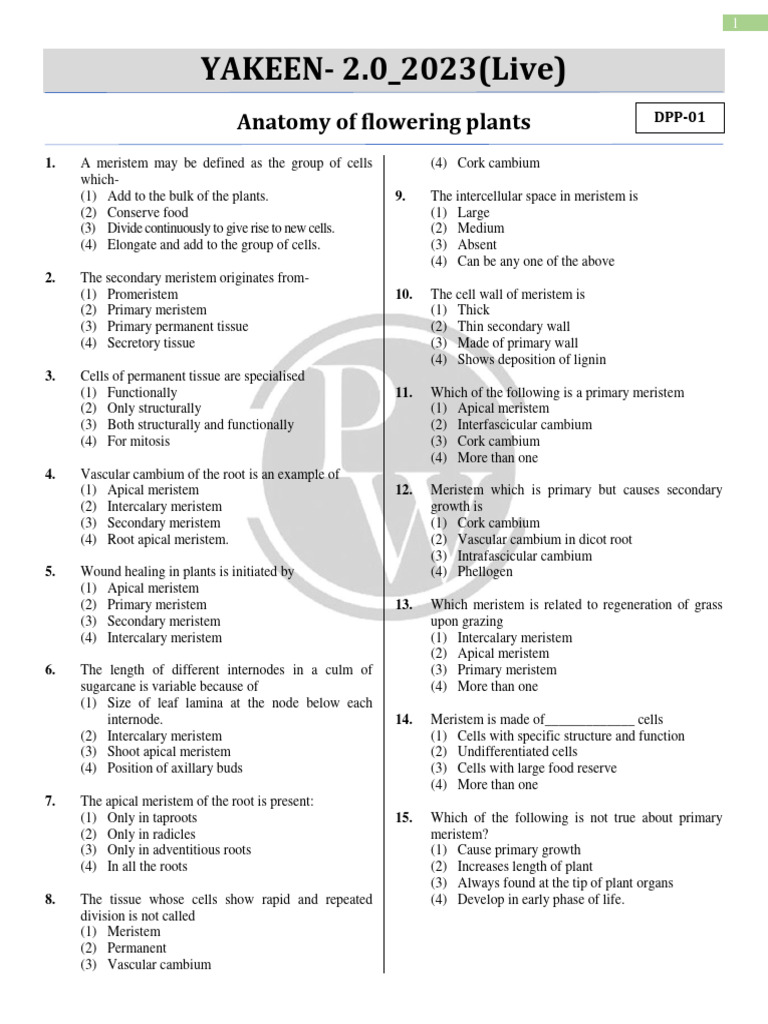 Anatomy of Flowering Plants - DPP 01 (Of Lec 02) - (Yakeen 2.0 2023 PW ...