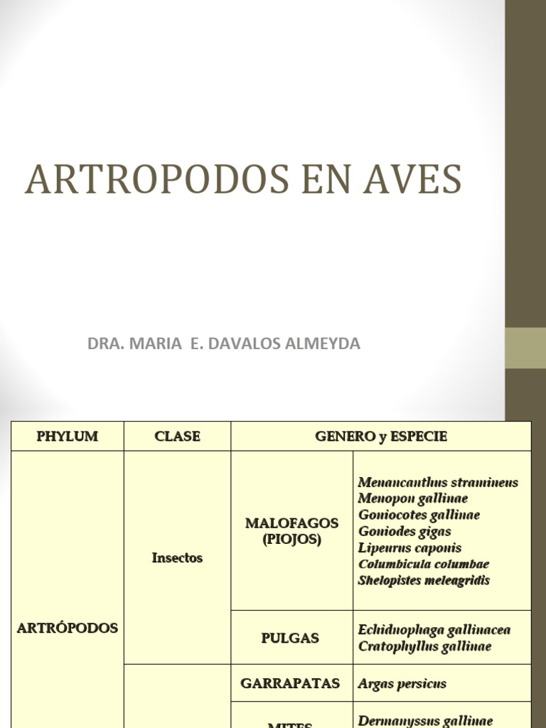 Artropodos en Aves | Descargar gratis PDF | Aves