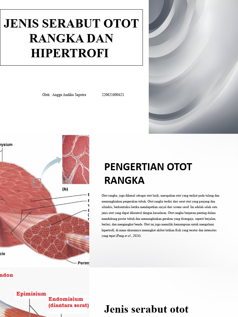 Bagi Jenis Serabut Otot&Hipertrofi | PDF