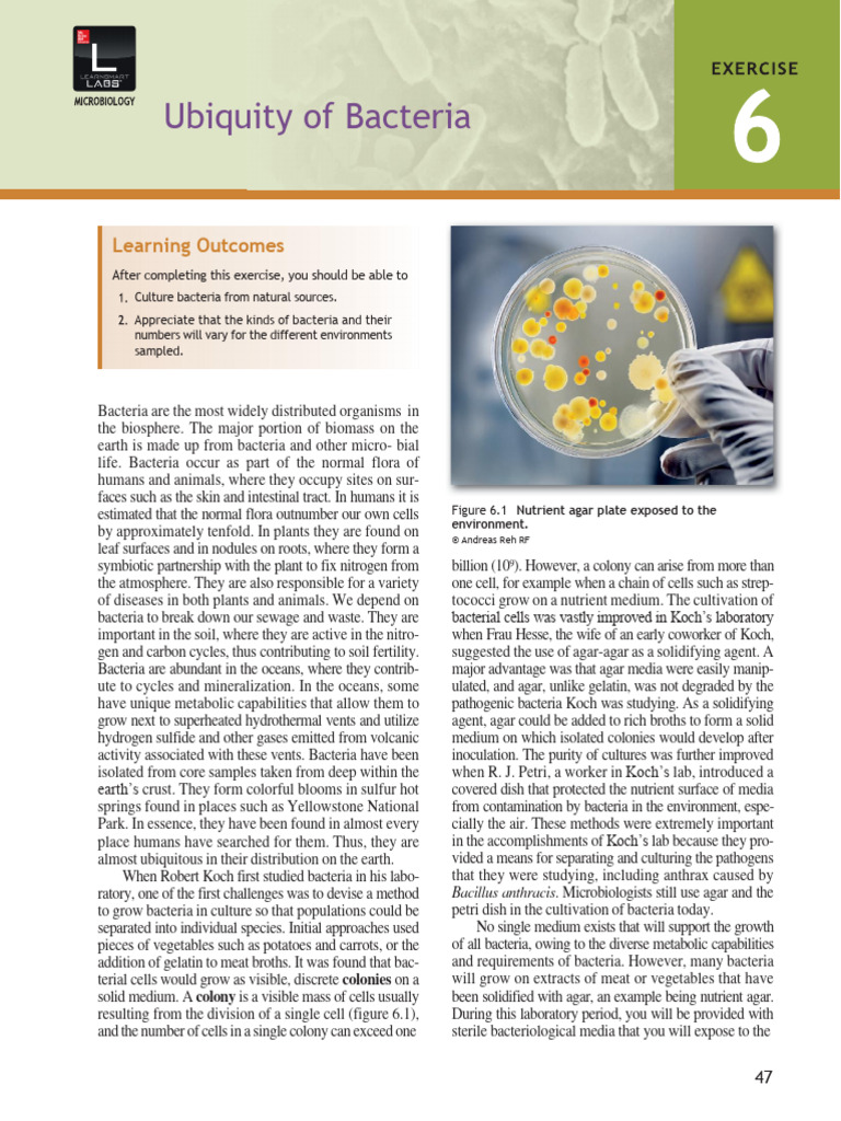 Ubiquity of MicrobesLab. Manual in Gen. Micro. 2015 | PDF | Bacteria | Growth Medium