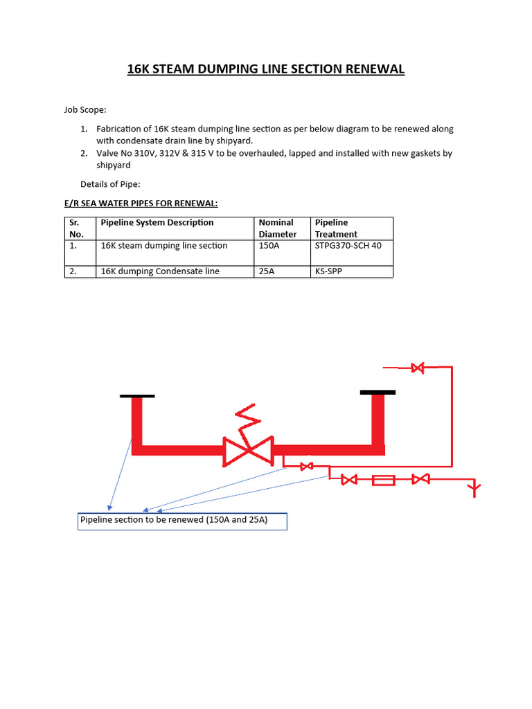 Steam Dumping Line (16K) Renewal | PDF