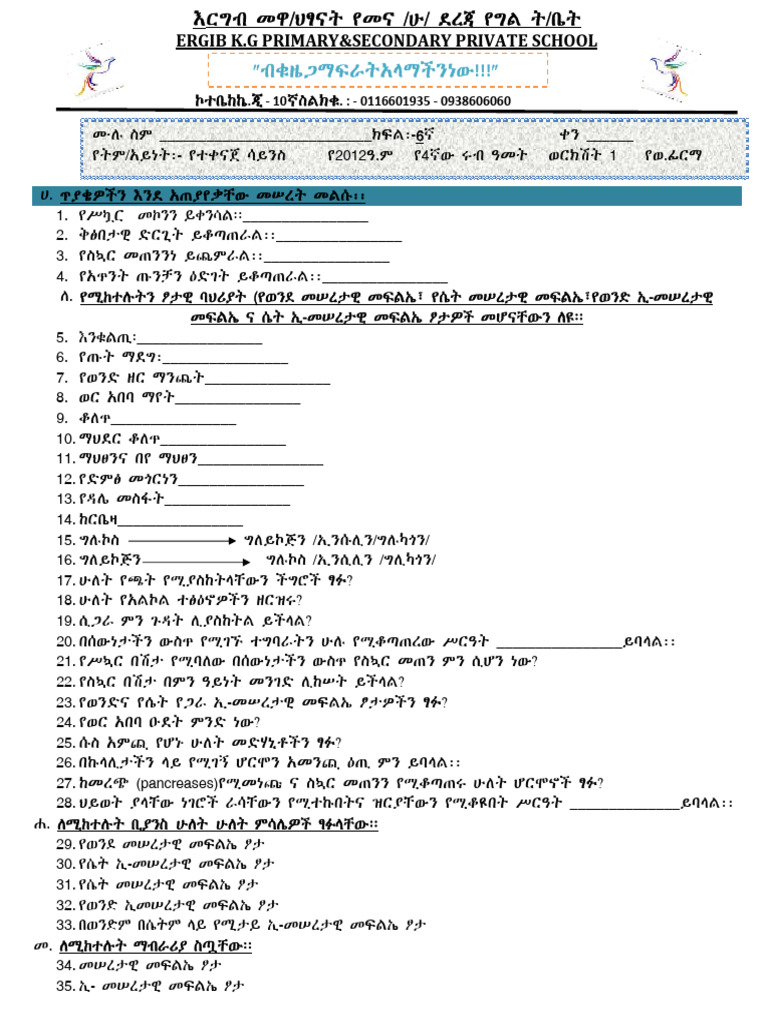 Ergib K.G Primary&Secondary Private School | PDF