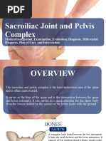 Understanding SIJ: Form and Force Closure | PDF | Pelvis | Vertebral Column