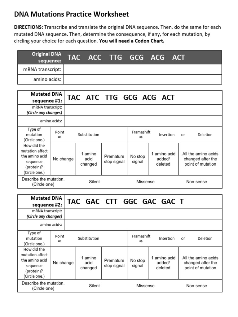 Dna Mutations Practice Worksheet | PDF | Point Mutation | Genetic Code