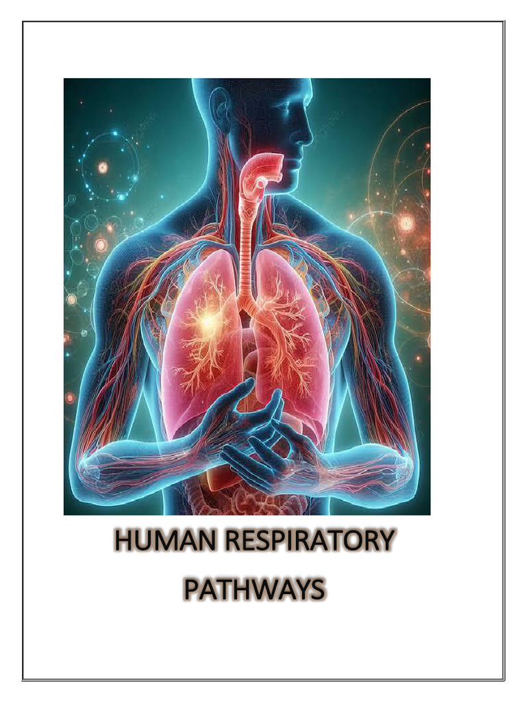 Digi Text Book | PDF | Respiratory System | Lung