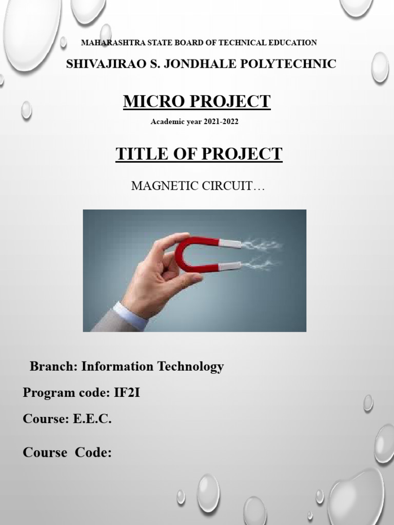 Eec Project GRP 3 | PDF | Magnetism | Magnetic Field