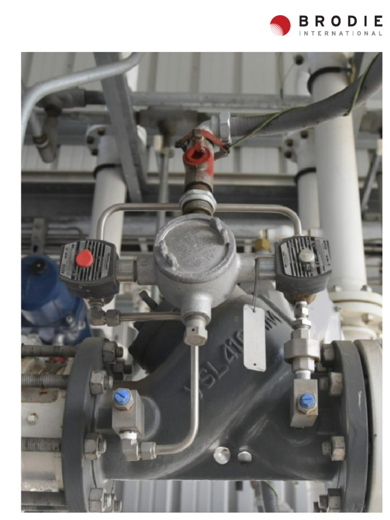 Brochure BV Valves R07 | PDF