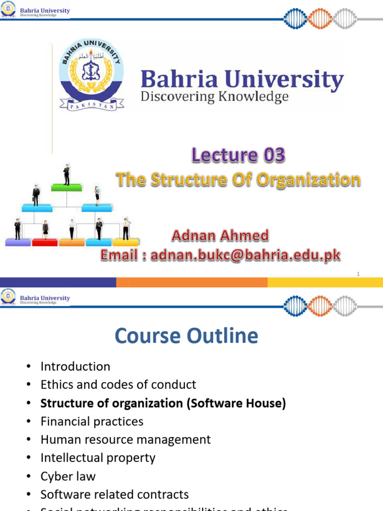 Organization Structure in Software Industry | PDF | Limited Company ...