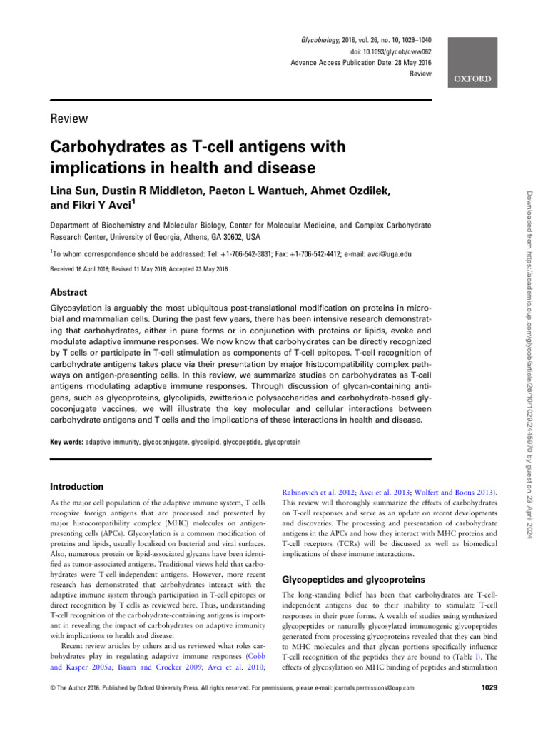 Karbo | PDF | Mhc Class I | T Cell